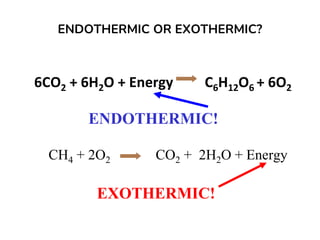 Endothermic and exothermic reaction.pptx