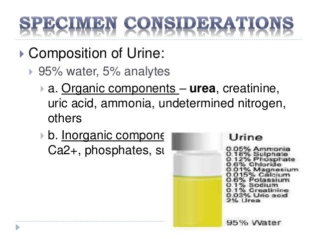Renal function tests and intro to urinalysis