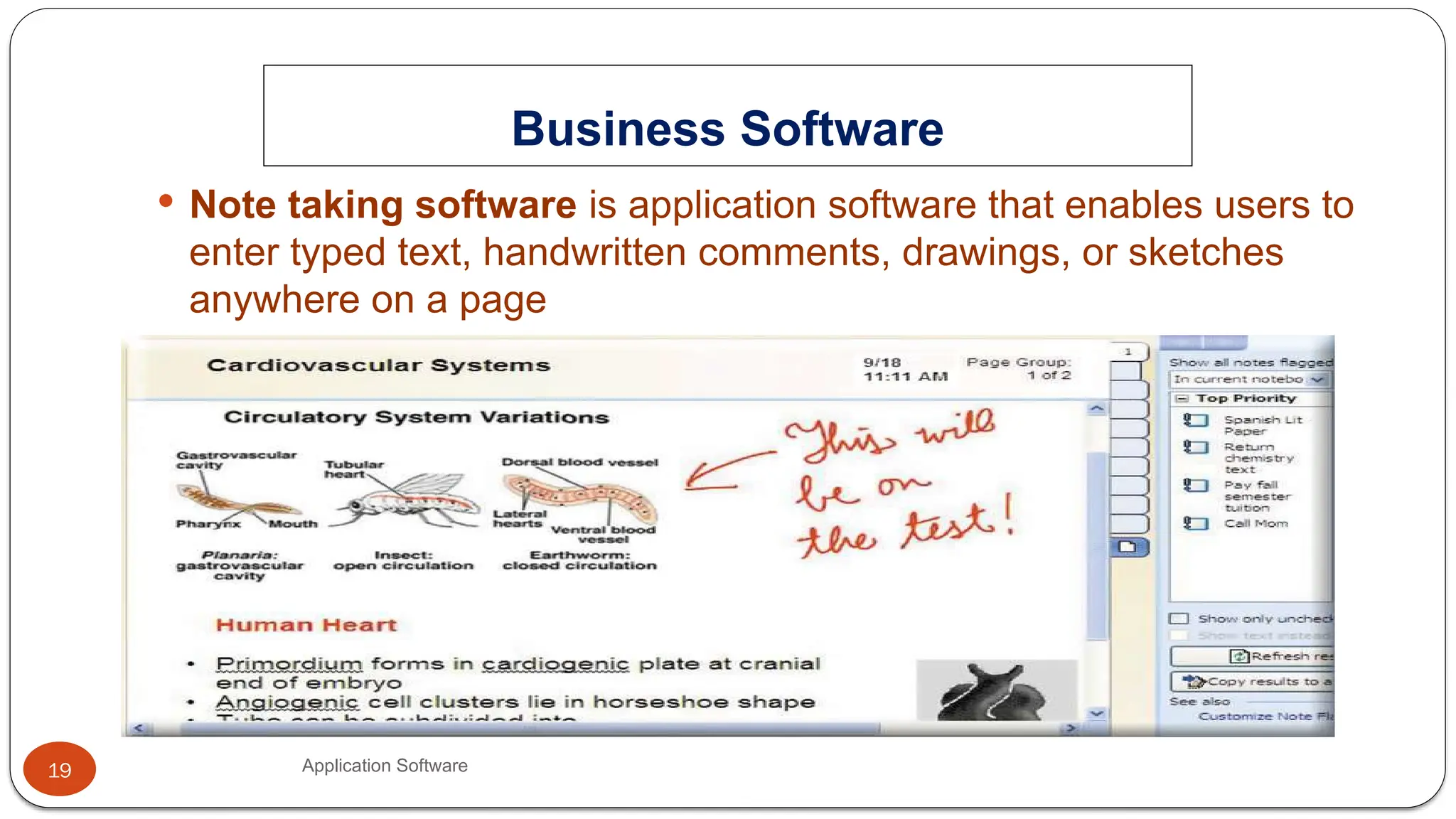 FJWU Lecture 03- Application Software.pptx