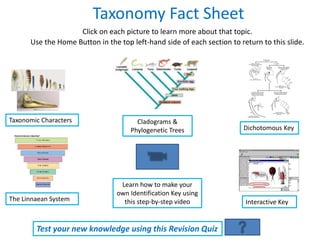 F kavanagh digital_learningobject_taxonomy | PPT
