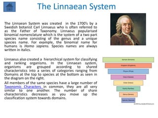 F kavanagh digital_learningobject_taxonomy | PPT