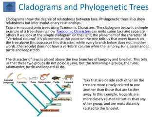 F kavanagh digital_learningobject_taxonomy | PPT