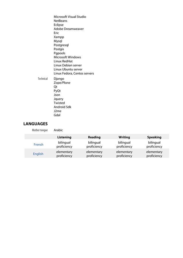 Fkili cv | PDF | Programming Languages | Computing