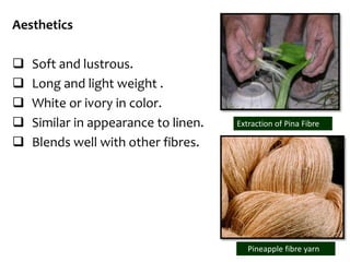 About Fibers- Kenaf,Milkweed and Pina | PPTX
