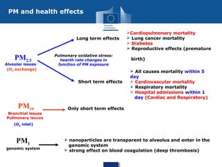 Human Health and Atmospheric Particles | PPT