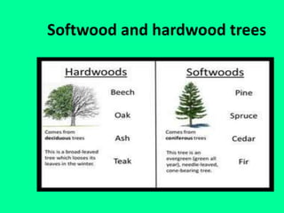 FL- Prof.- Lesson 2.ppt