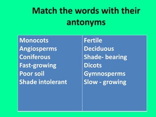 FL- Prof.- Lesson 2.ppt