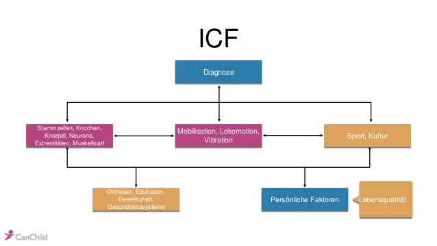 ICF - Funktionelle Diagnostik als Basis jeder Behandlung