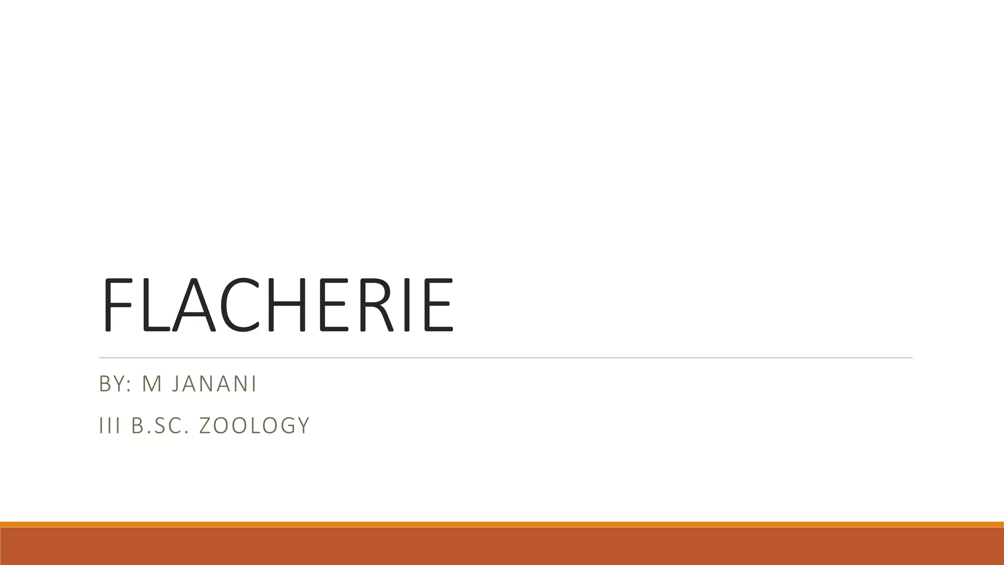 FLACHERIE | PPT