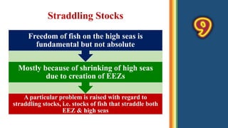 Flag-State ggdfdgfjhfjghjghjhhkjkl 2.pptx