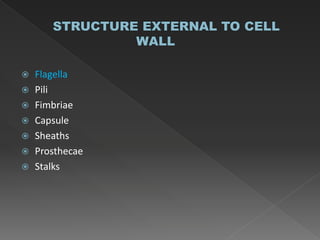 FLAGELLA.pdf