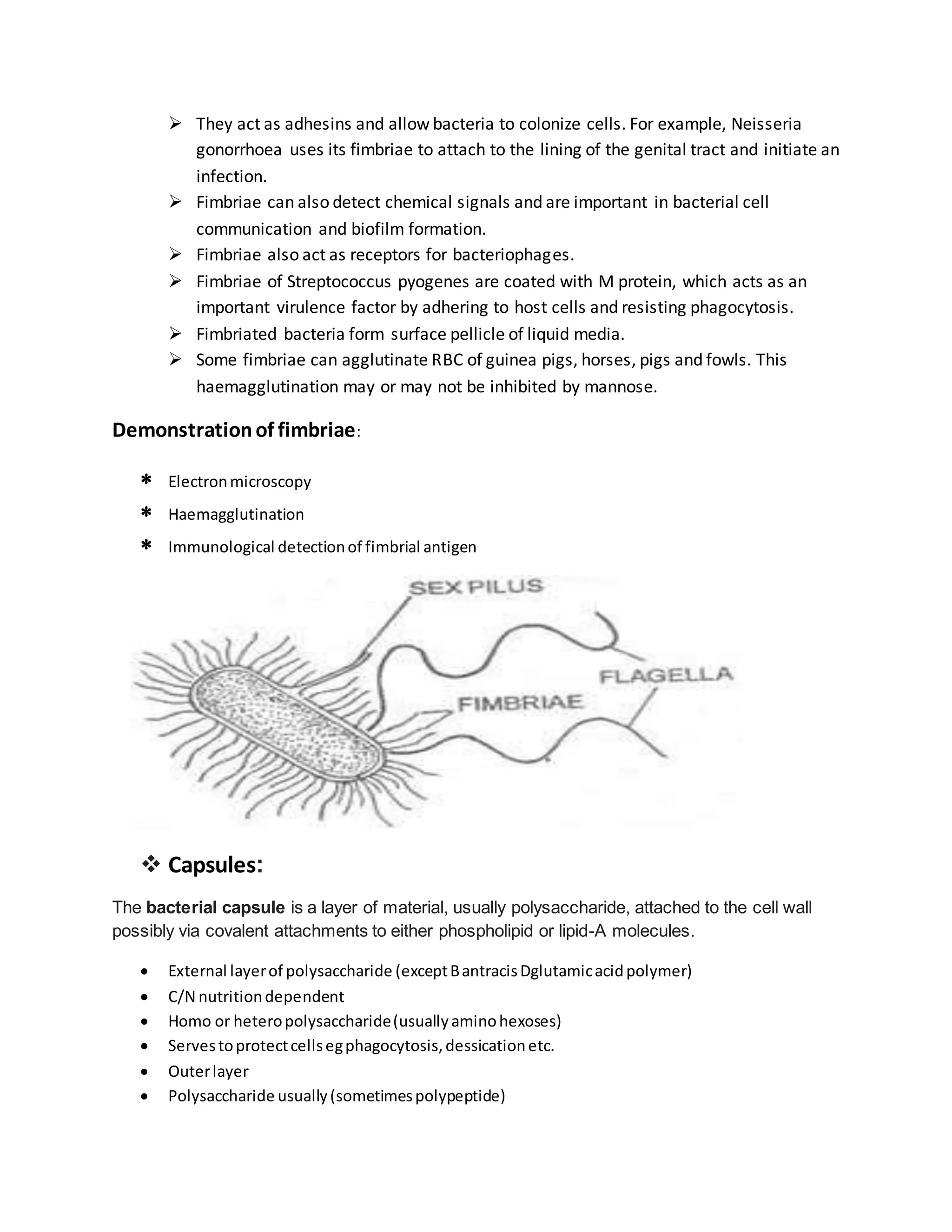 Flagella, pilli. capsule and their function | DOCX