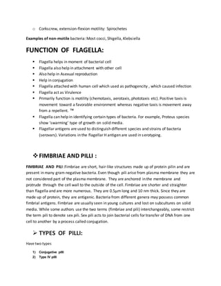 Flagella Function