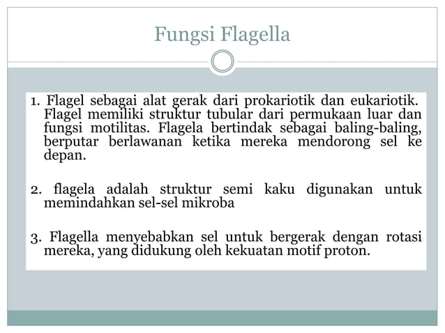 Flagella | PPTX