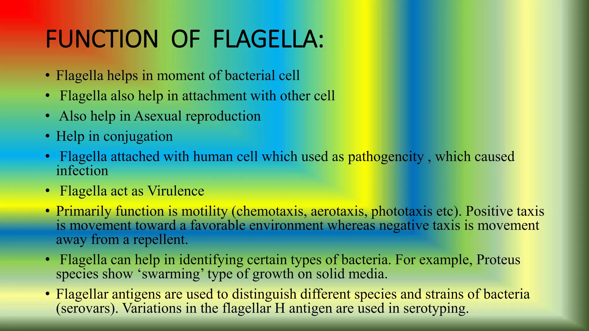 Flagella, fimbriae, pili and capsule | PPTX