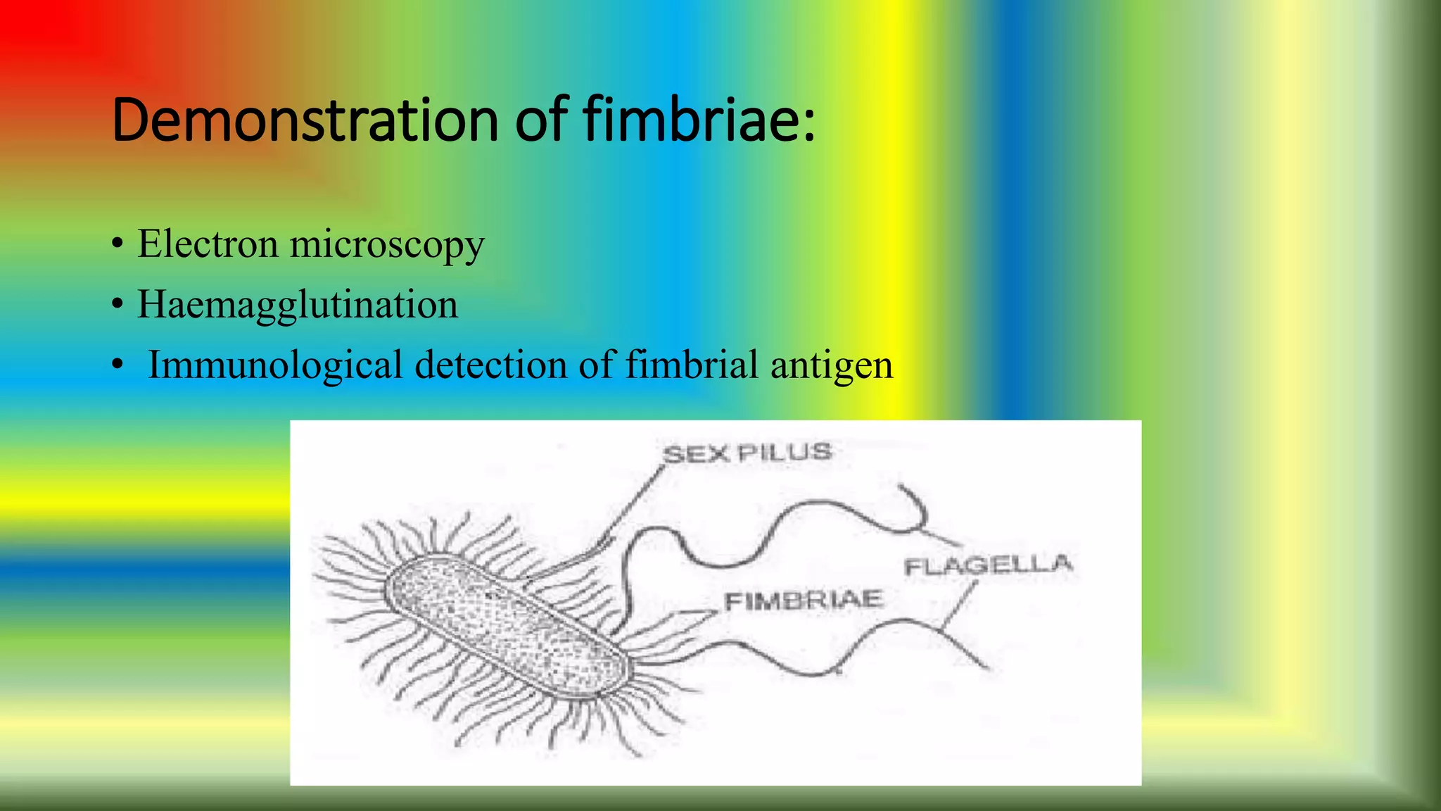 Flagella, fimbriae, pili and capsule | PPTX