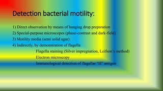 Flagella, fimbriae, pili and capsule | PPTX