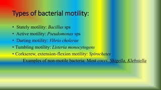 Flagella, fimbriae, pili and capsule | PPTX