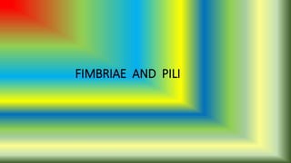 Flagella, fimbriae, pili and capsule | PPTX