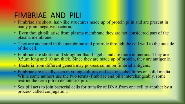 Flagella, fimbriae, pili and capsule | PPTX | Biological Sciences | Science