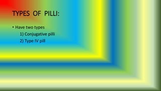 Flagella, fimbriae, pili and capsule | PPTX