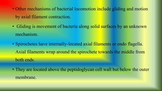 Flagella, fimbriae, pili and capsule | PPTX