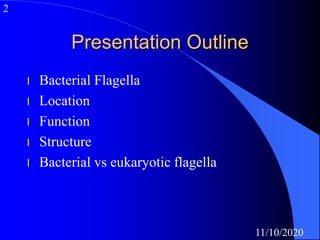 Flagella | PPT