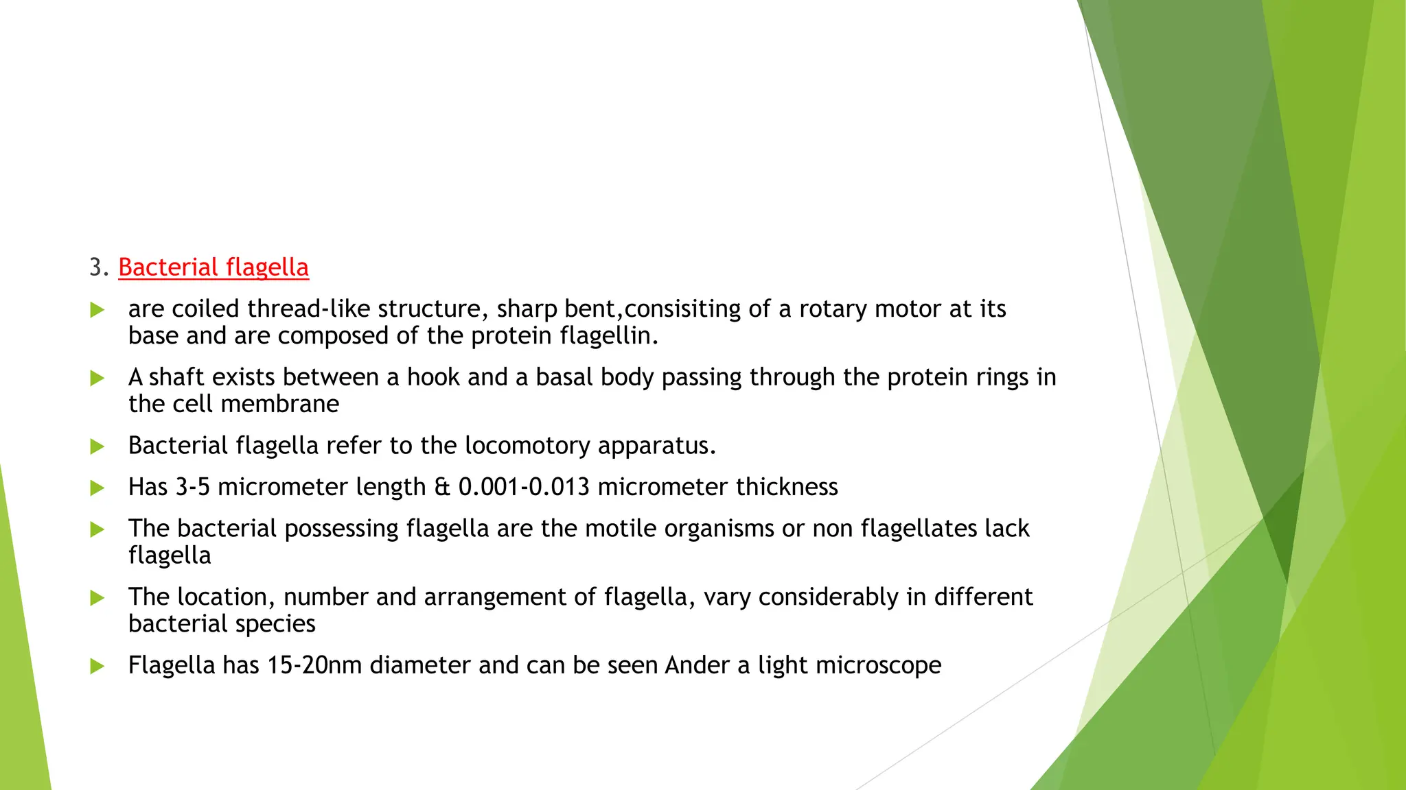 FLAGELLA. an overview of bacterial flagella | PPTX