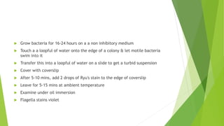 FLAGELLA. an overview of bacterial flagella | PPTX