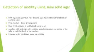 FLAGELLA. an overview of bacterial flagella | PPTX