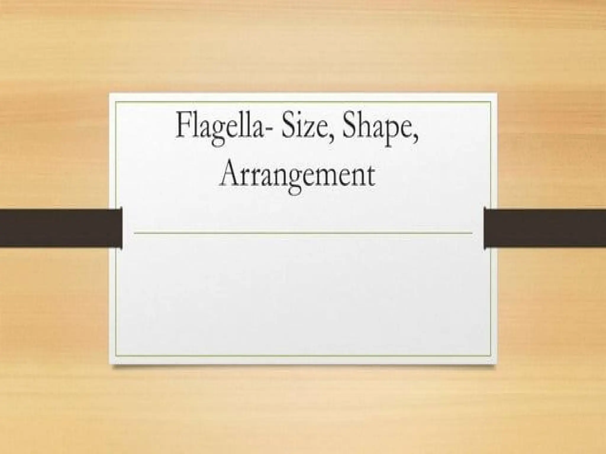 Bacterial Flagella - Types of Flagella.. | PPTX