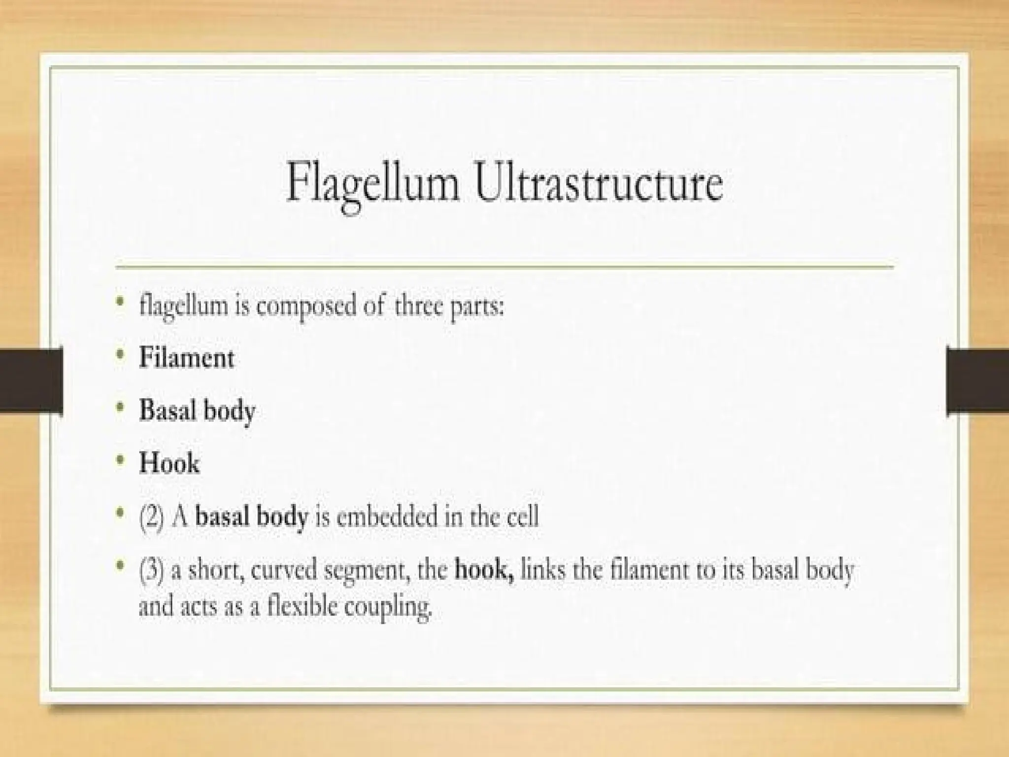 Bacterial Flagella - Types of Flagella.. | PPTX