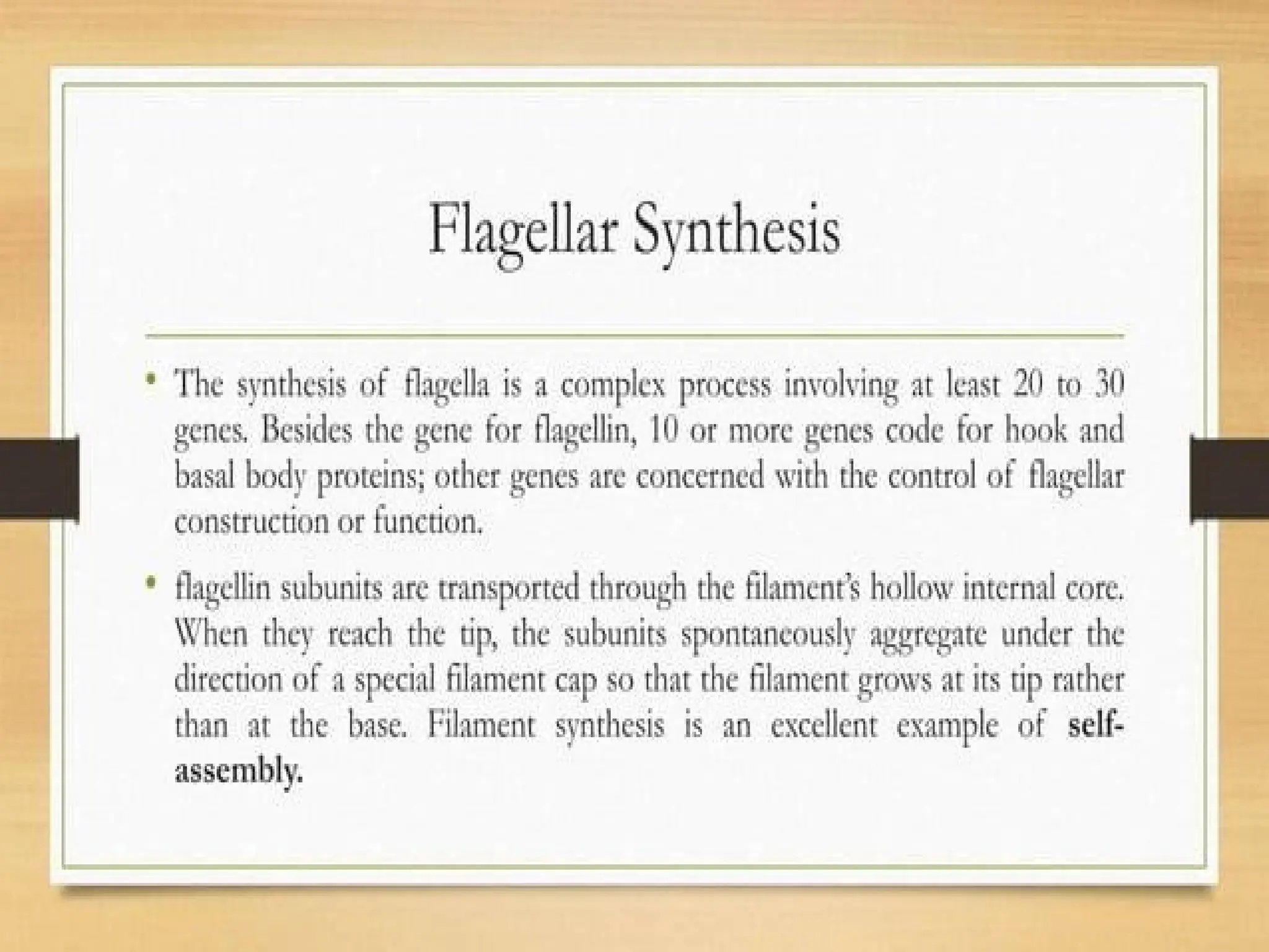 Bacterial Flagella - Types of Flagella.. | PPTX