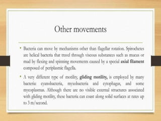 Bacterial Flagella - Types of Flagella.. | PPTX