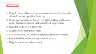 Flagella Dr.Ashna Ajimsha | PPTX