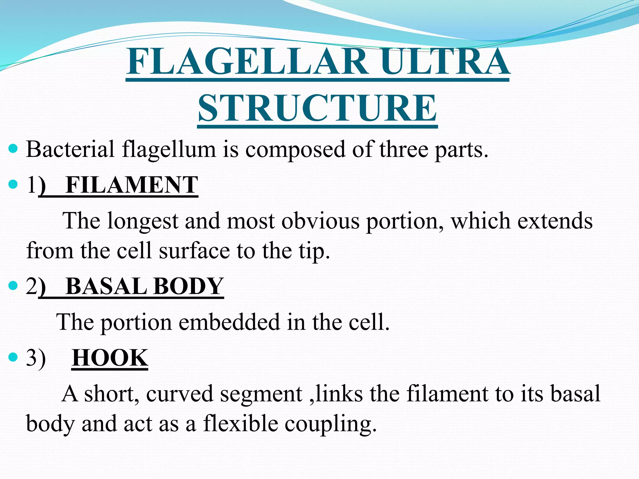 Flagella | PPTX