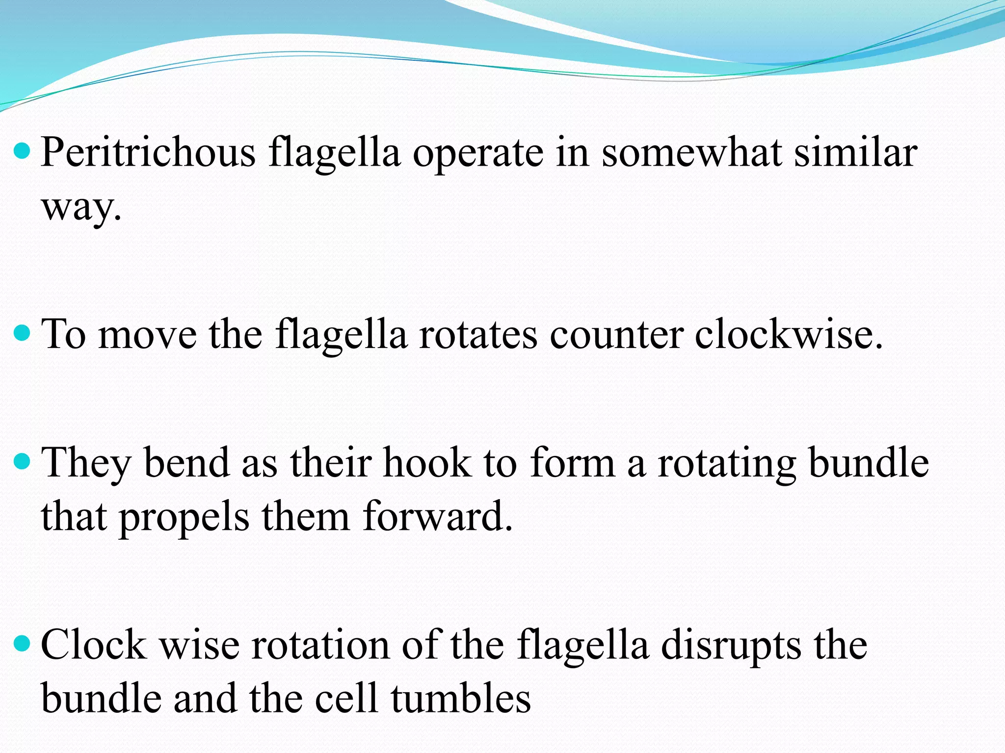 Flagella | PPTX