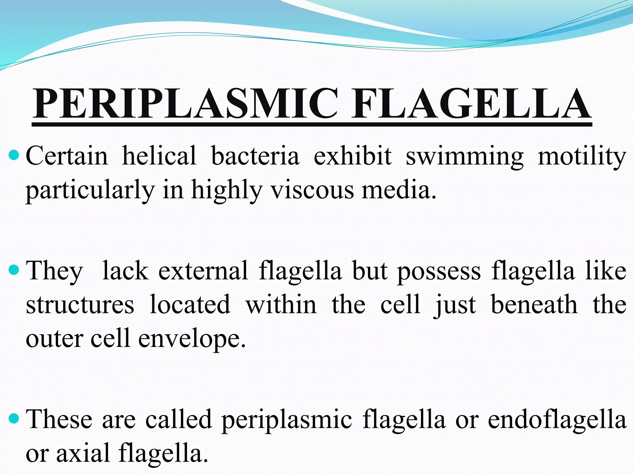 Flagella | PPTX