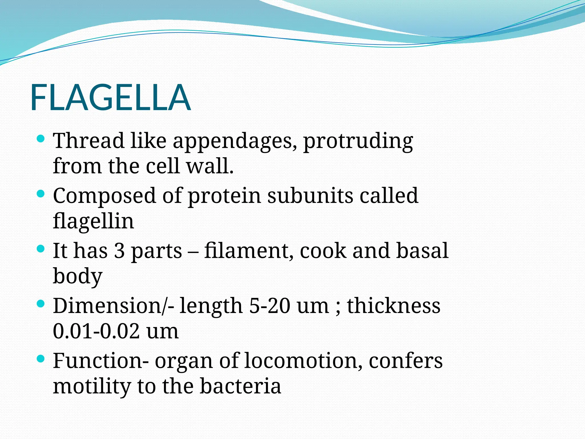 FLAGELLA & FIMBRIAE.pptx flagella motility structure | PPTX