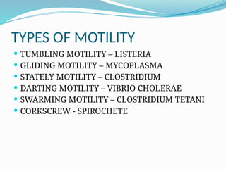 FLAGELLA & FIMBRIAE.pptx flagella motility structure | PPTX