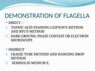 FLAGELLA & FIMBRIAE.pptx flagella motility structure | PPTX