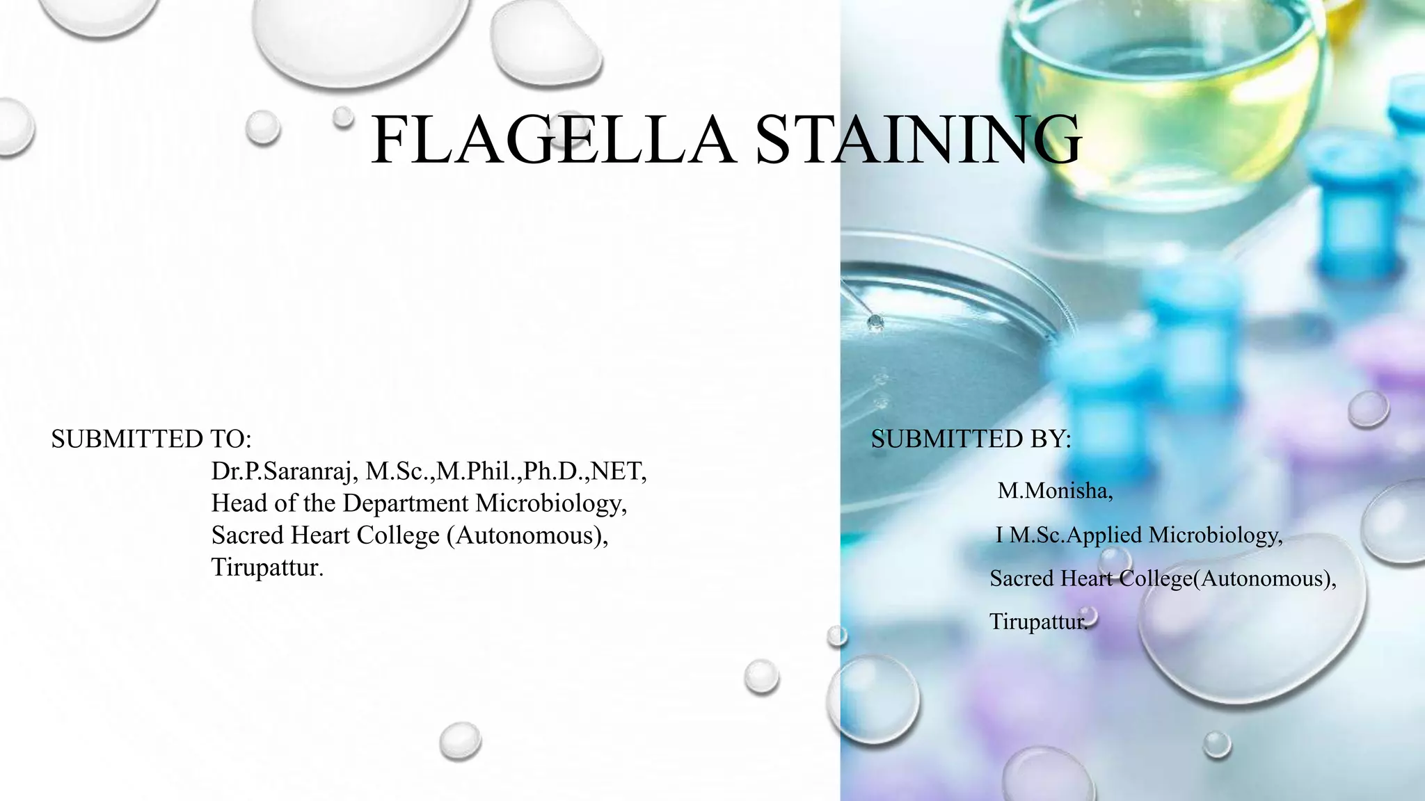 Flagella Staining.pptx