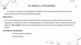Flagella Staining.pptx
