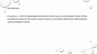 Flagella Staining.pptx