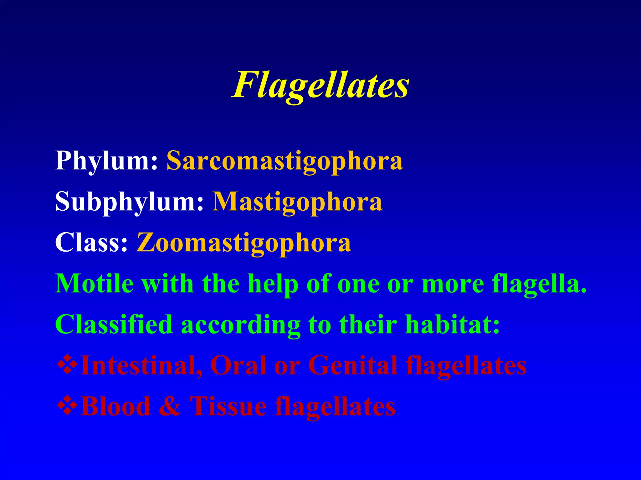 microbiology imp. Flagellates ppt | PPT