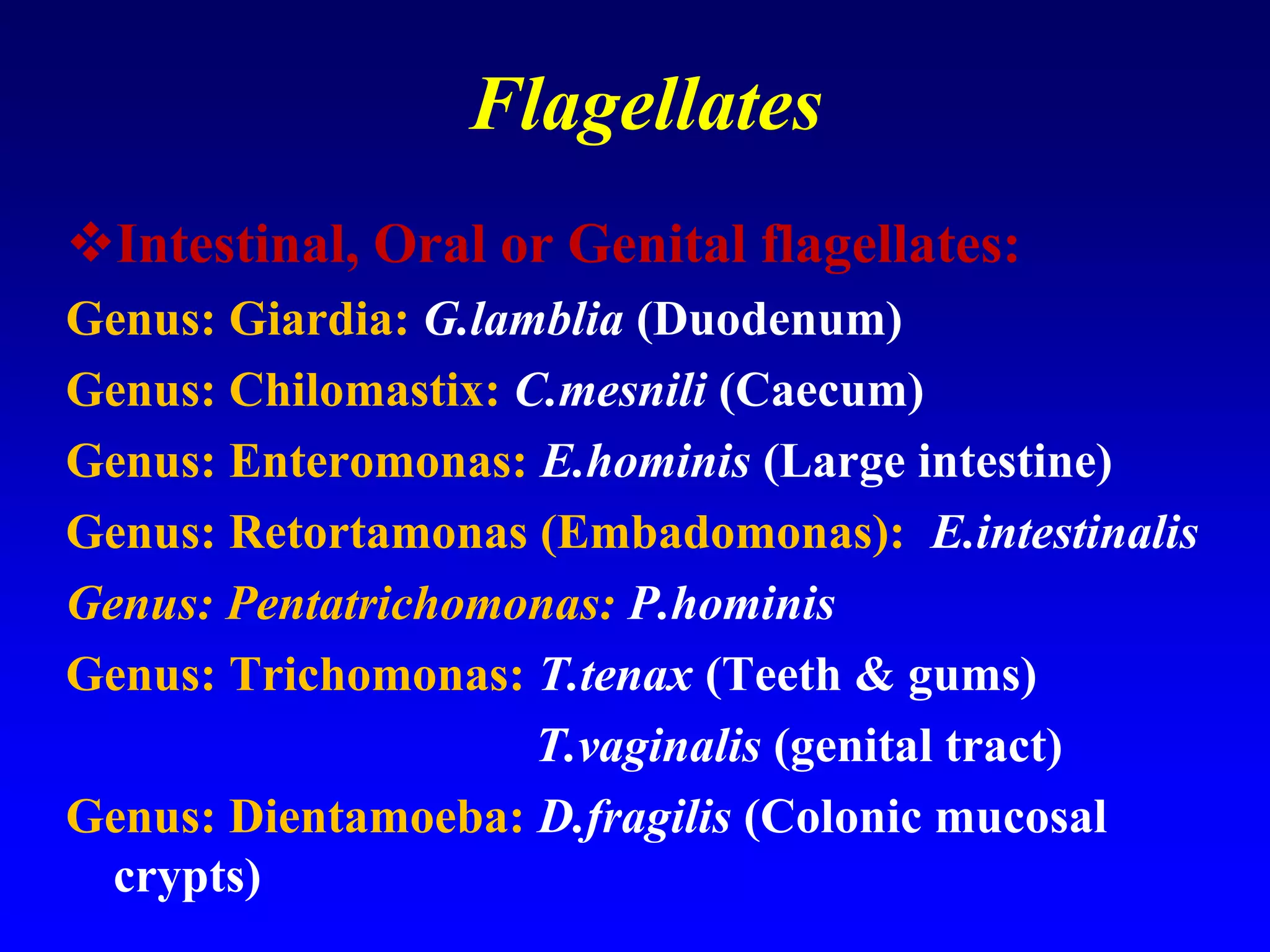 microbiology imp. Flagellates ppt | PPT