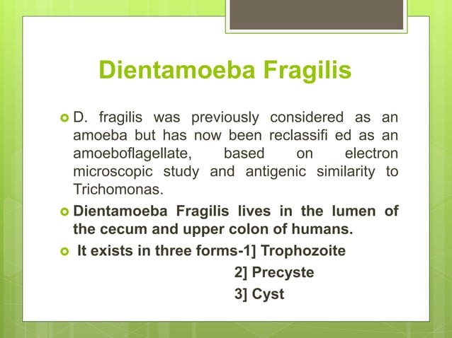 Flagellates | PPTX | Digestive Disorders | Diseases and Conditions