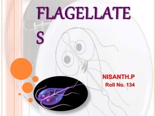 Flagellates parasitology | PPTX