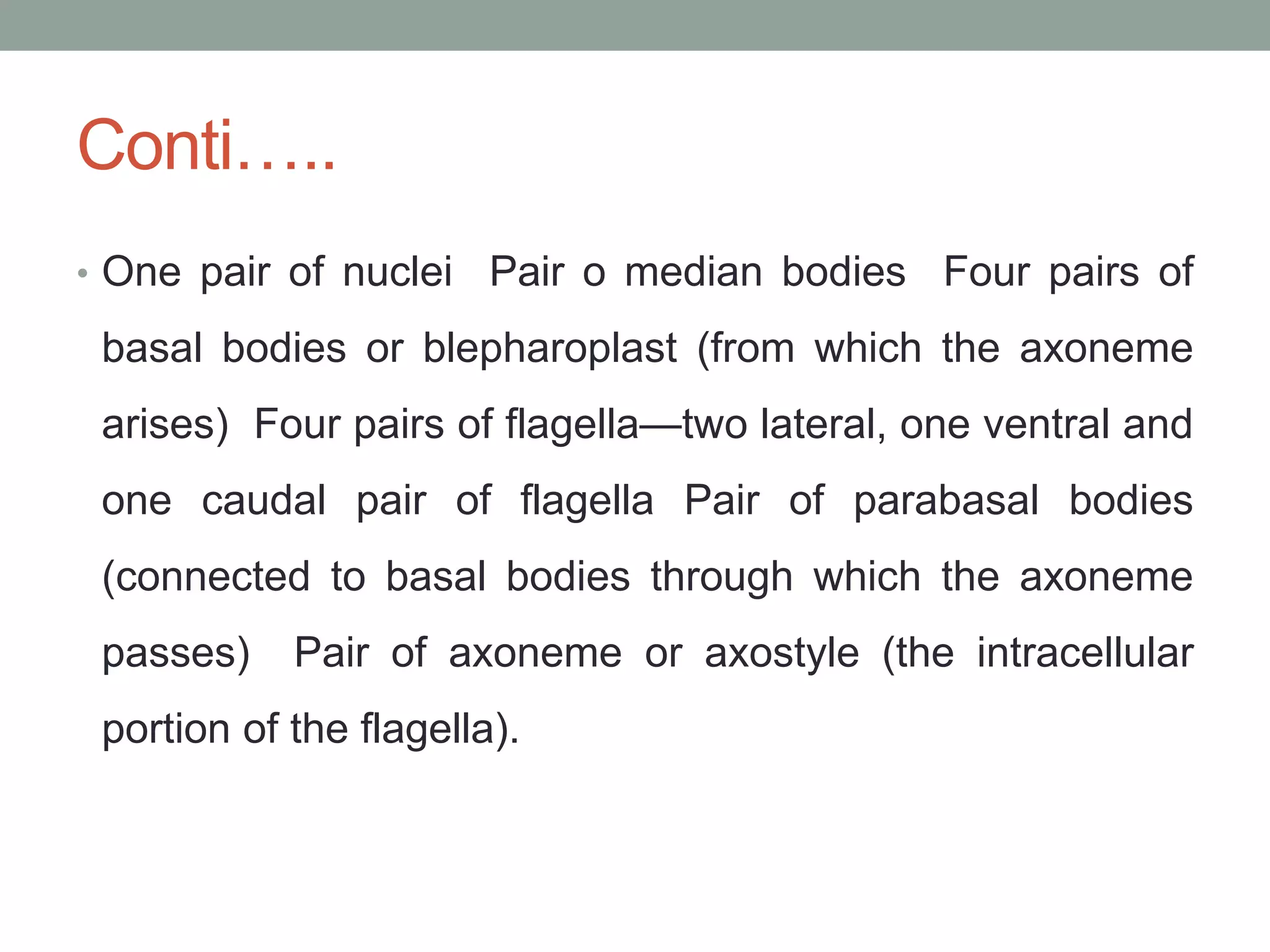 Flagellates—I (Intestinal and Genital). lecture 5 chapter 4 pptx.pptx