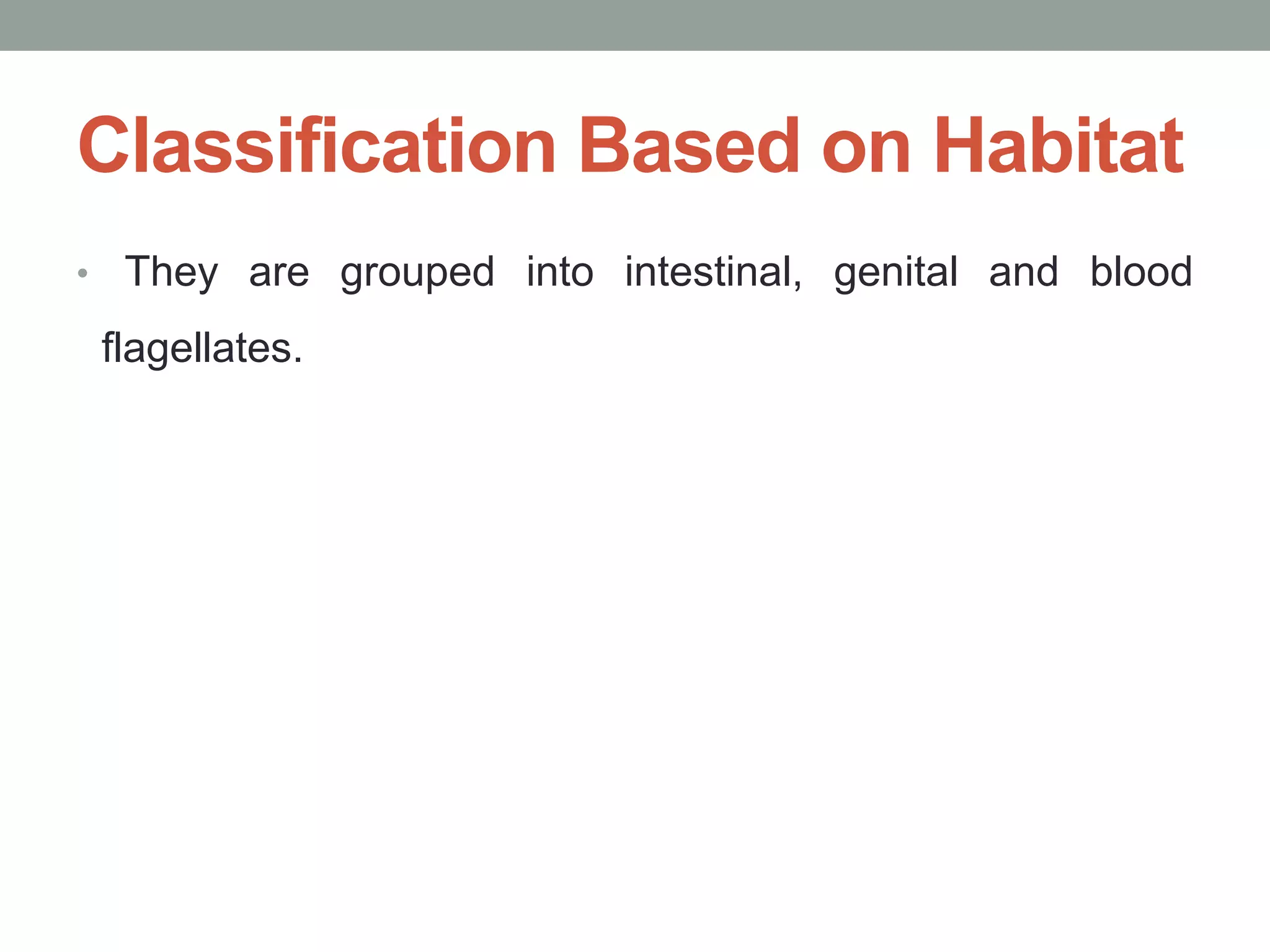 Flagellates—I (Intestinal and Genital). lecture 5 chapter 4 pptx.pptx